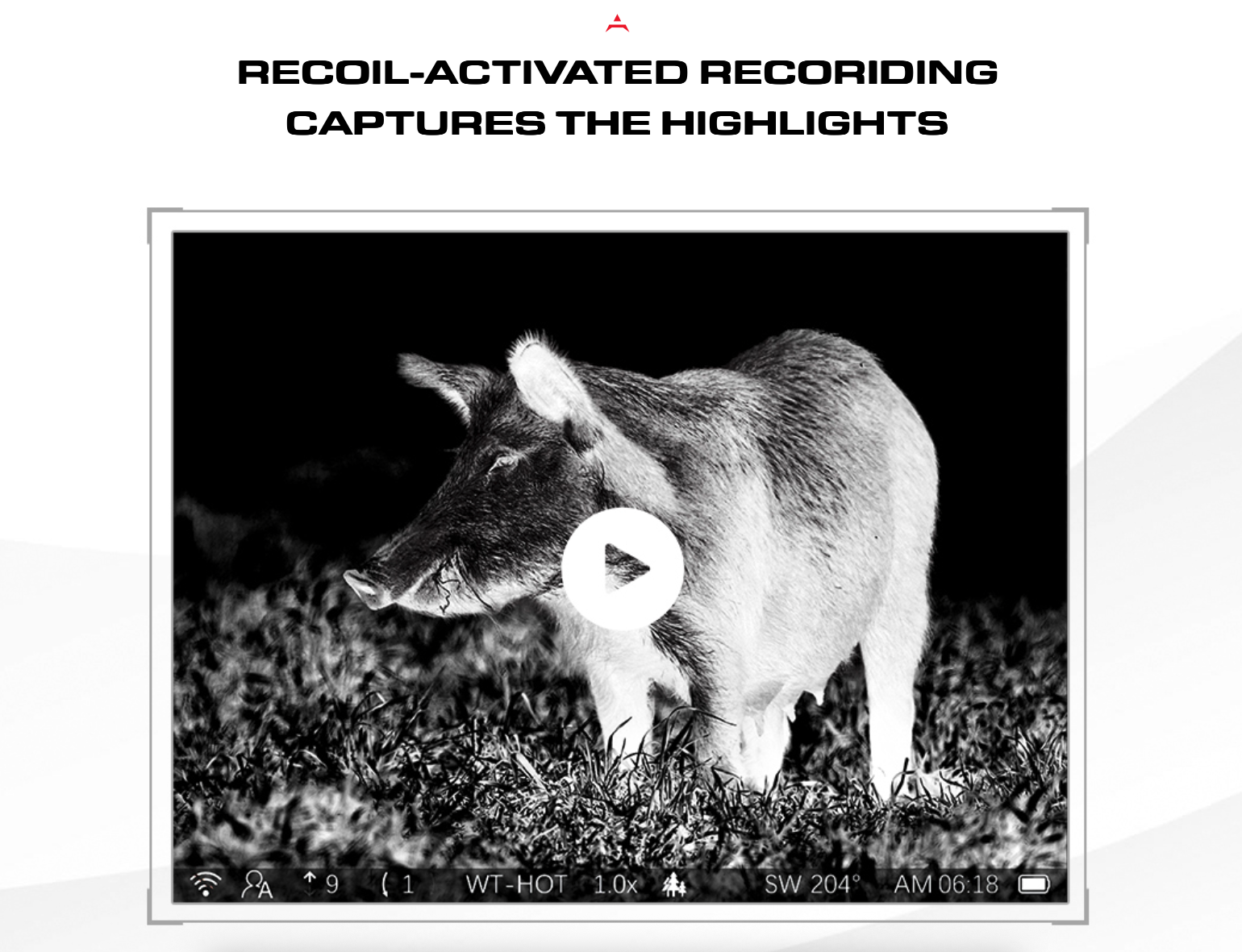 Pard Pantera Q 256 (25mm) Thermal Rifle Scope